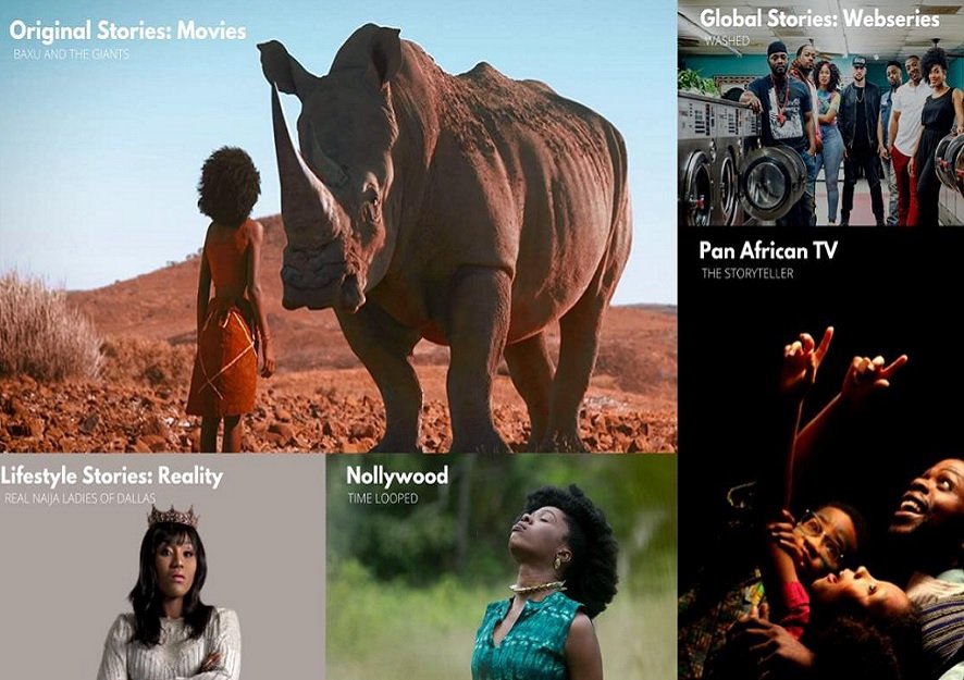 AfroLandTV, Home For More Pan-African Stories On Mainstream TV | Duke ...